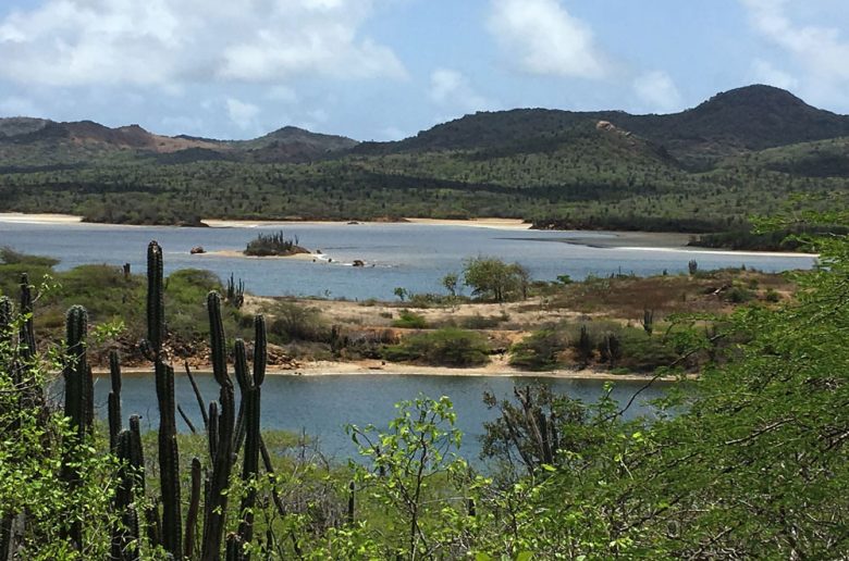Bonaire: Tudo Sobre a Ilha Mais Charmosa do ABC Caribenho