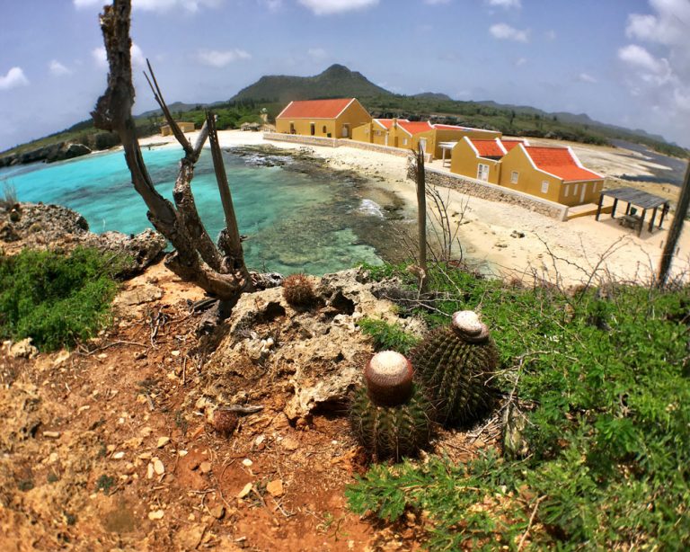 Bonaire: Tudo Sobre a Ilha Mais Charmosa do ABC Caribenho