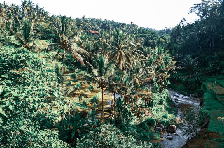Bali Indonesia - Tudo sobre a Ilha em um Guia para Viajantes