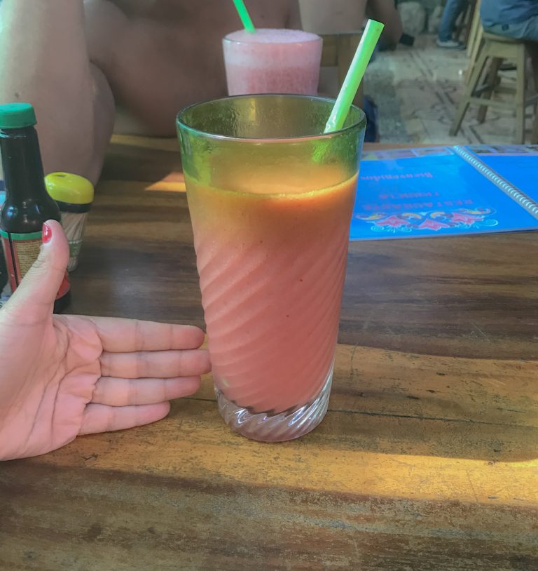 Santa Teresa Costa Rica: um roteiro completo