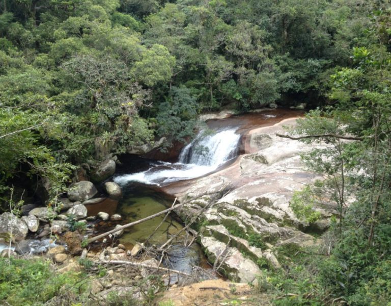 Trilhas em São Paulo - As 9 melhores, dicas e atrativos