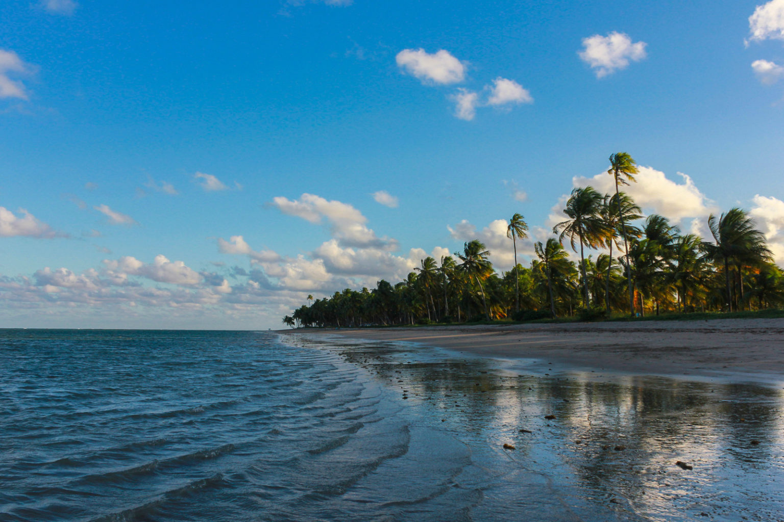 As 26 Melhores Praias do Nordeste Brasileiro | Viva o Mundo